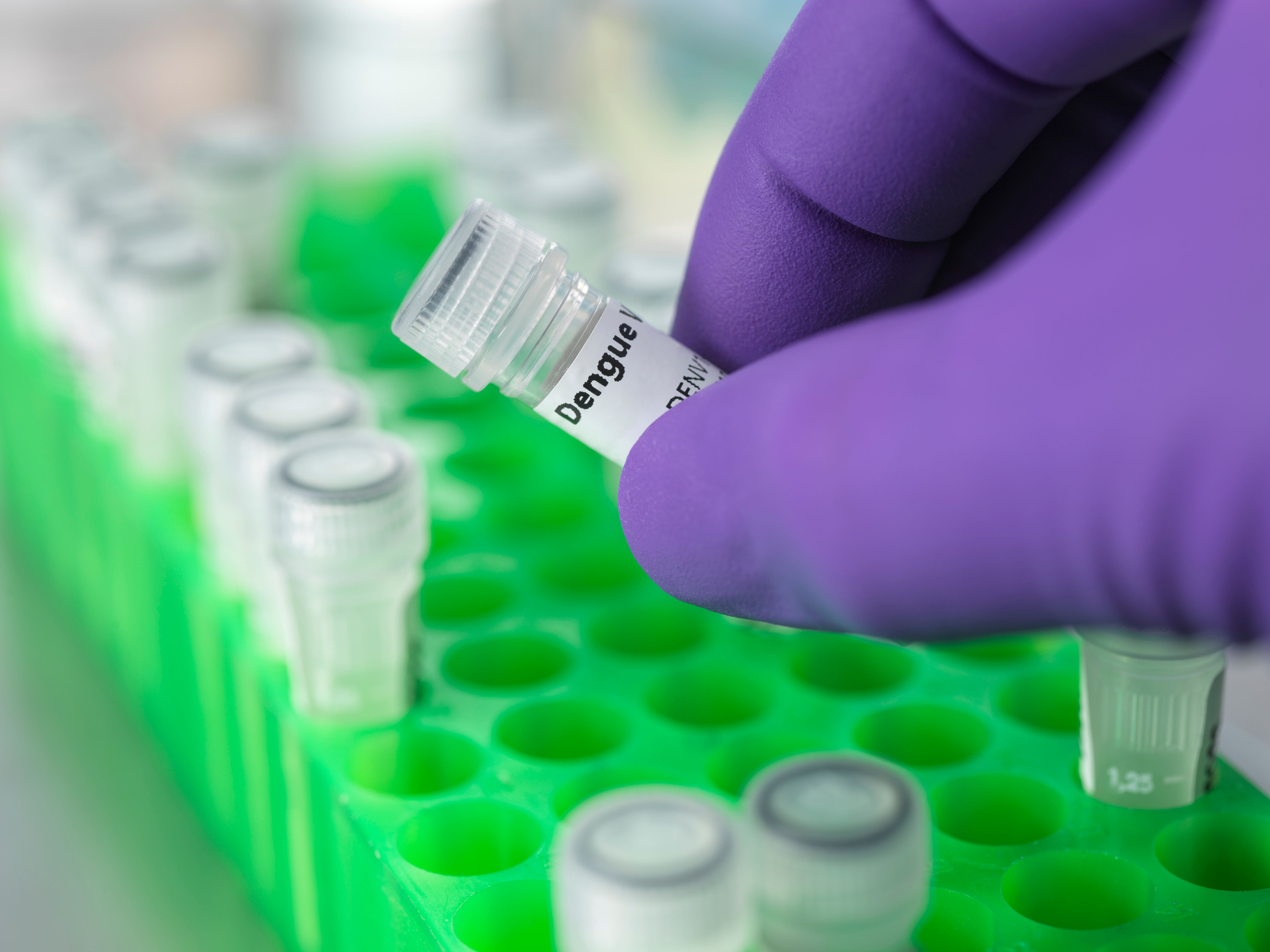 New dengue vaccine could have ‘huge impact’ on public health | Semafor