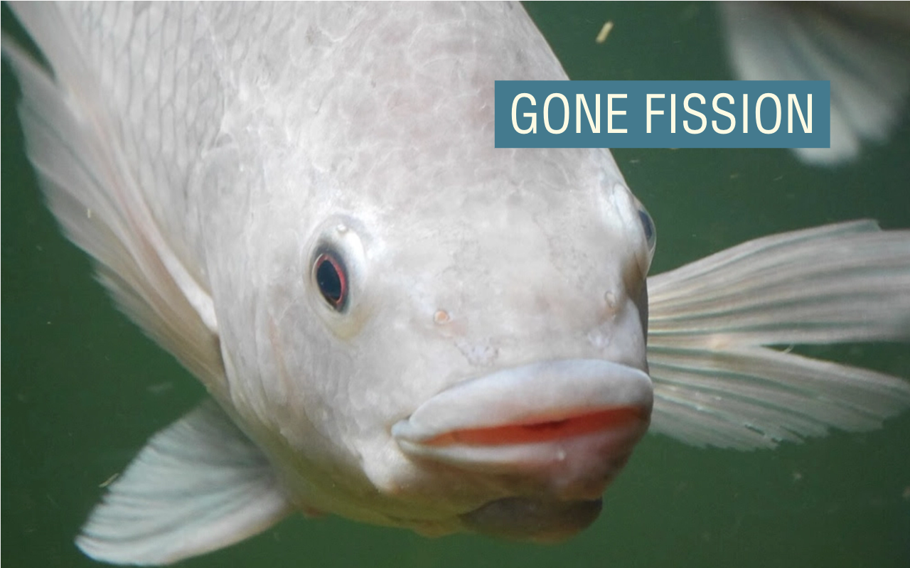 Semafor Flagship: Fish and chips | Semafor