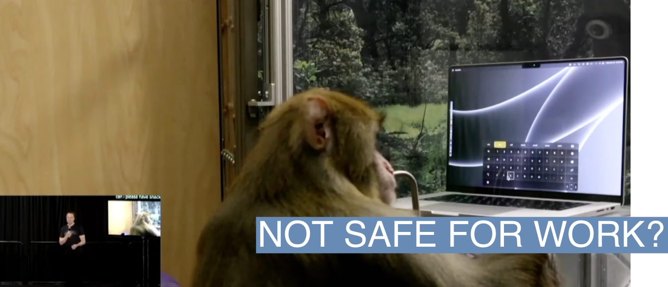 Elon Musk's Neuralink under investigaton for animal testing: Report ...