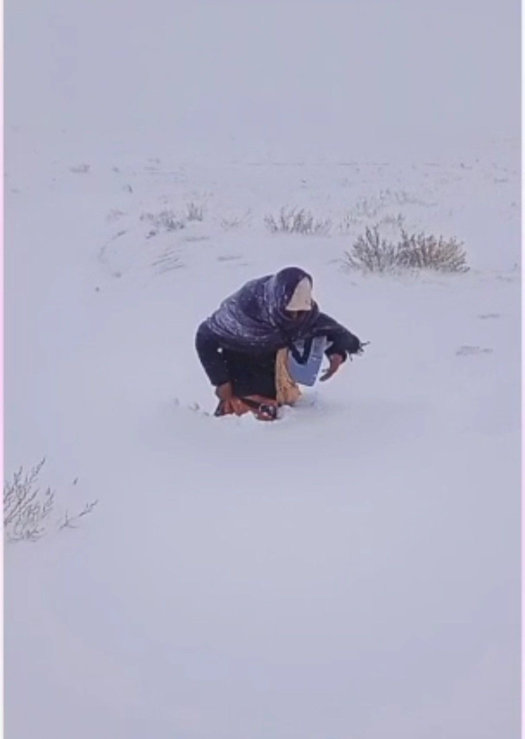 Pakistan polio vaccine workers trek through waist-deep snow | Semafor