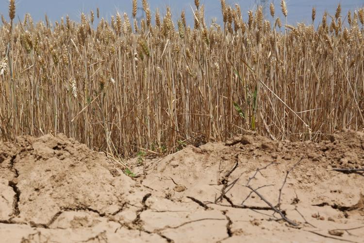 Bokep search in case you like asian then you must meet this